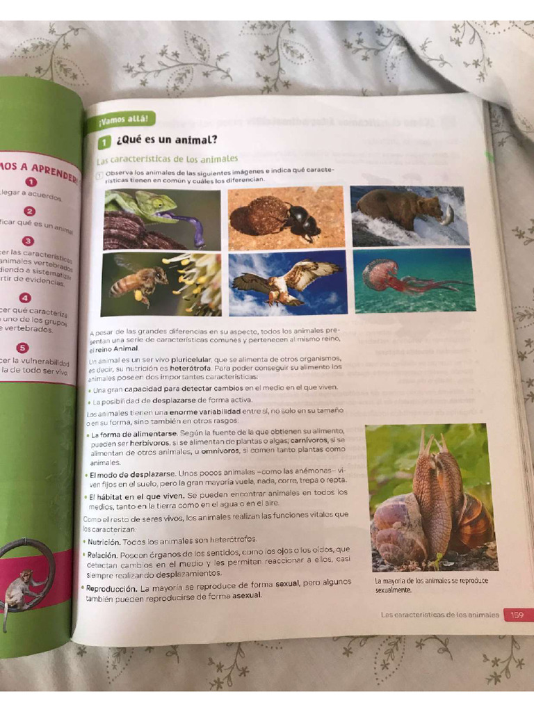 Unidad 1 Animales Vertebrados | PDF