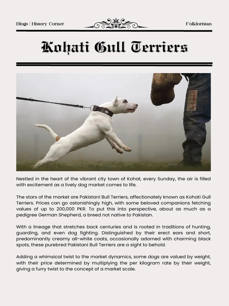 Gull Terriers | PDF