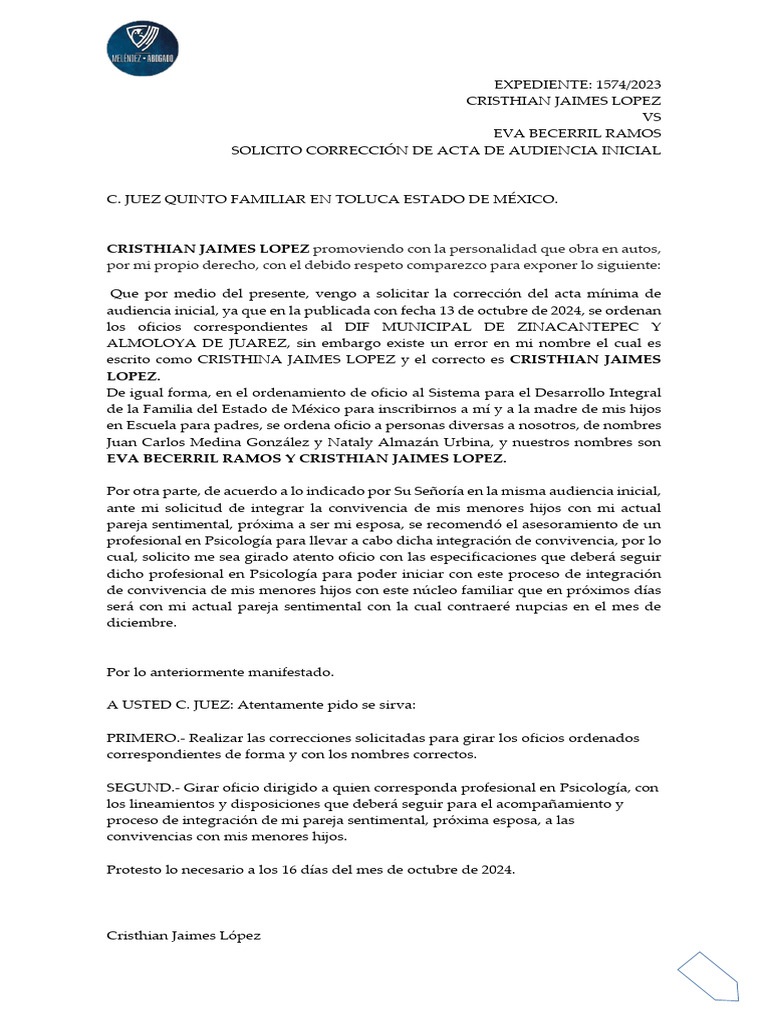 Correccion Acta Audiencia Inicial | PDF