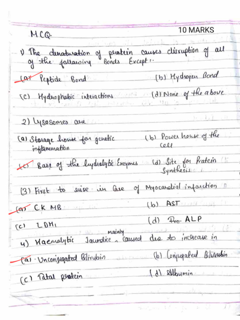 NK 2 | PDF