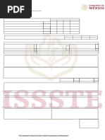 RT-01 Issste | PDF