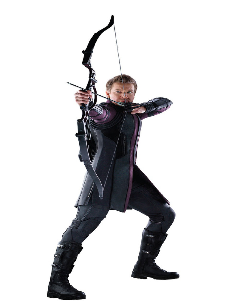 Gavião Arqueiro | PDF