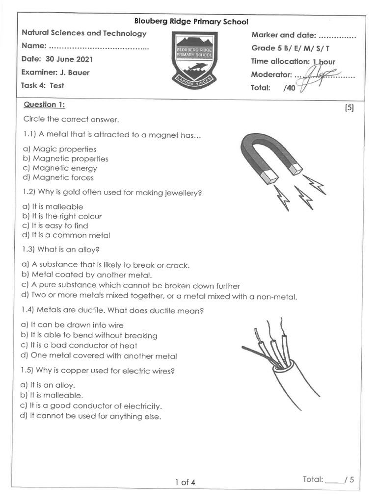 Grade 5 Natural Sciences Mid Year Examination 2021 | PDF
