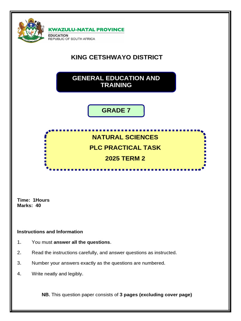 NS GR 7 PLC Practical Task Term 2 of 2025 | PDF | Acid