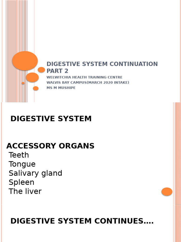 Digestive System Continuation | PDF | Liver | Human Digestive System