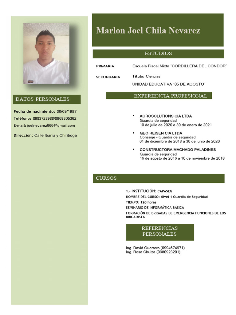 Perfil Profesional de Joel Nevarez | PDF