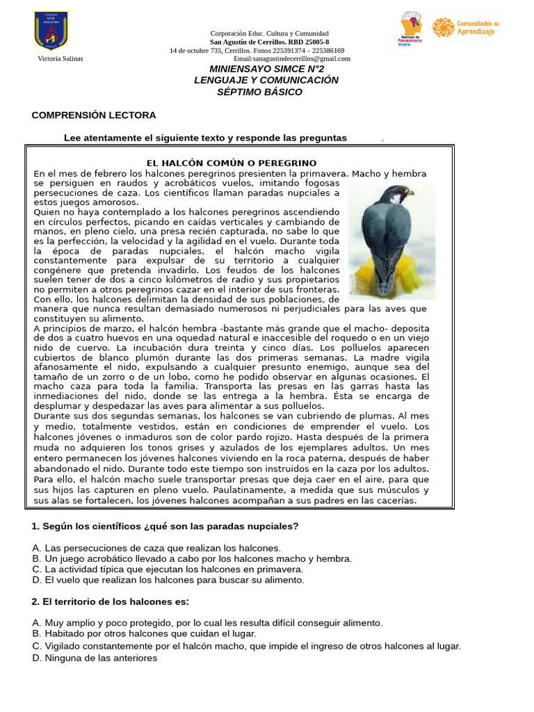 16 - 04 Miniensayo Simce N°2 | PDF | Aves holarctic | Zoología