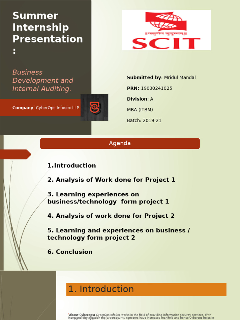 Internship Presentation19030241025 | PDF | Audit | Business