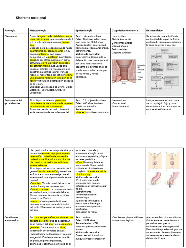 Síndromes Anorrectales: Diagnóstico y Tratamiento | PDF | Hemorroides ...