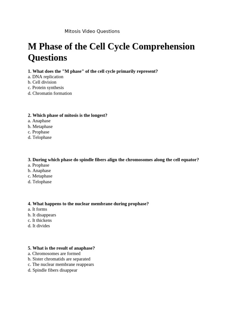 Mitosis Video Questions | PDF