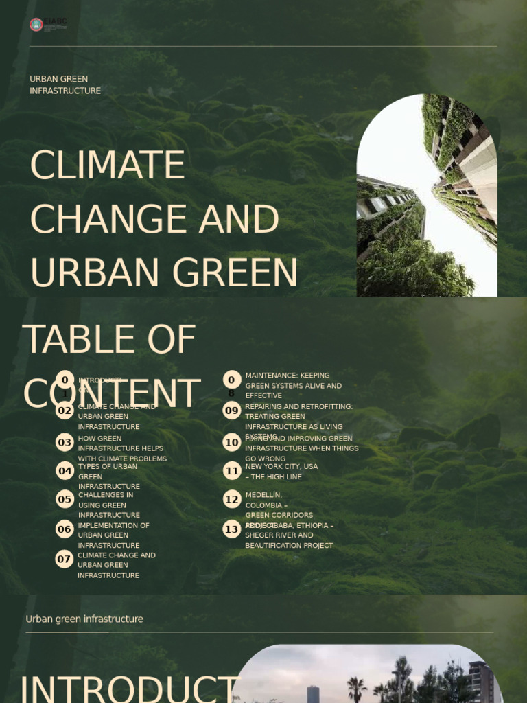 Urban Infrastructure Final | PDF | Green Infrastructure | Infrastructure