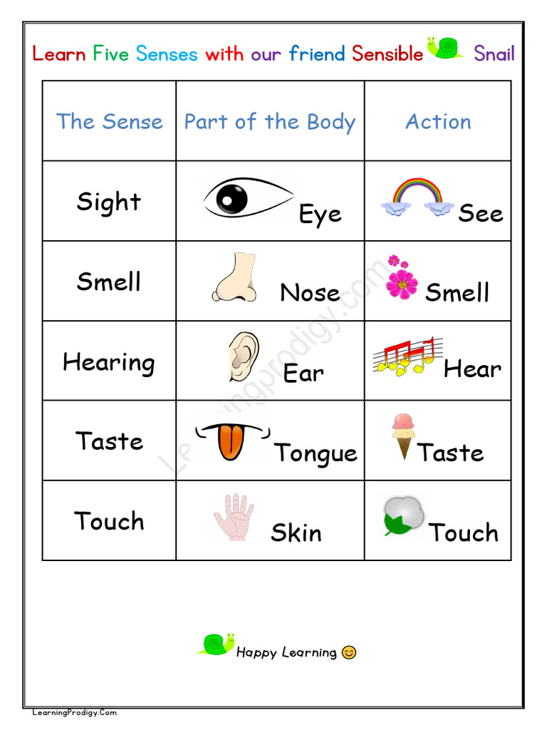 Sense-Organ-Chart | PDF