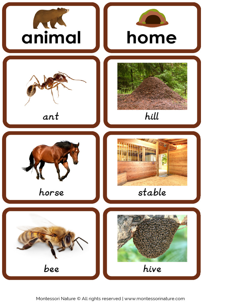 Animals and Their Homes Montessori Nature Free | PDF