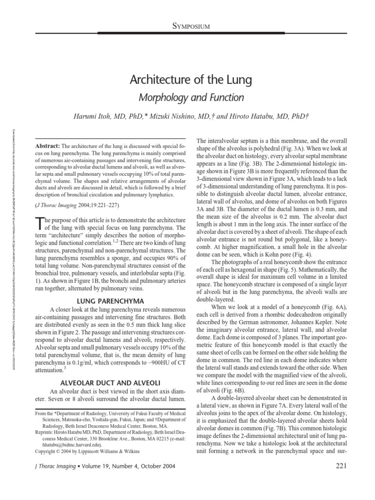 Architecture of The Lung Morphology and Function.3 | PDF | Lung ...