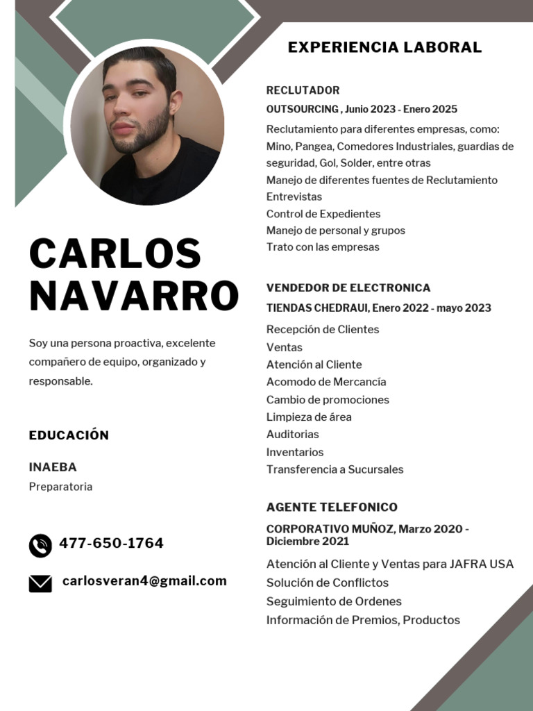 Perfil Profesional de Carlos Navarro | PDF | Business