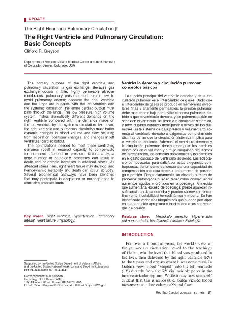 The Right Ventricle and Pulmonary Circulation | PDF | Circulatory ...