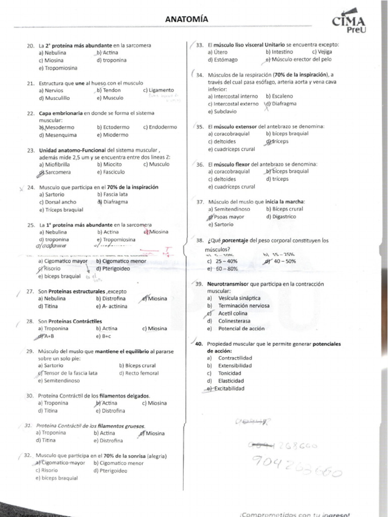 A Aaaaaaa | PDF