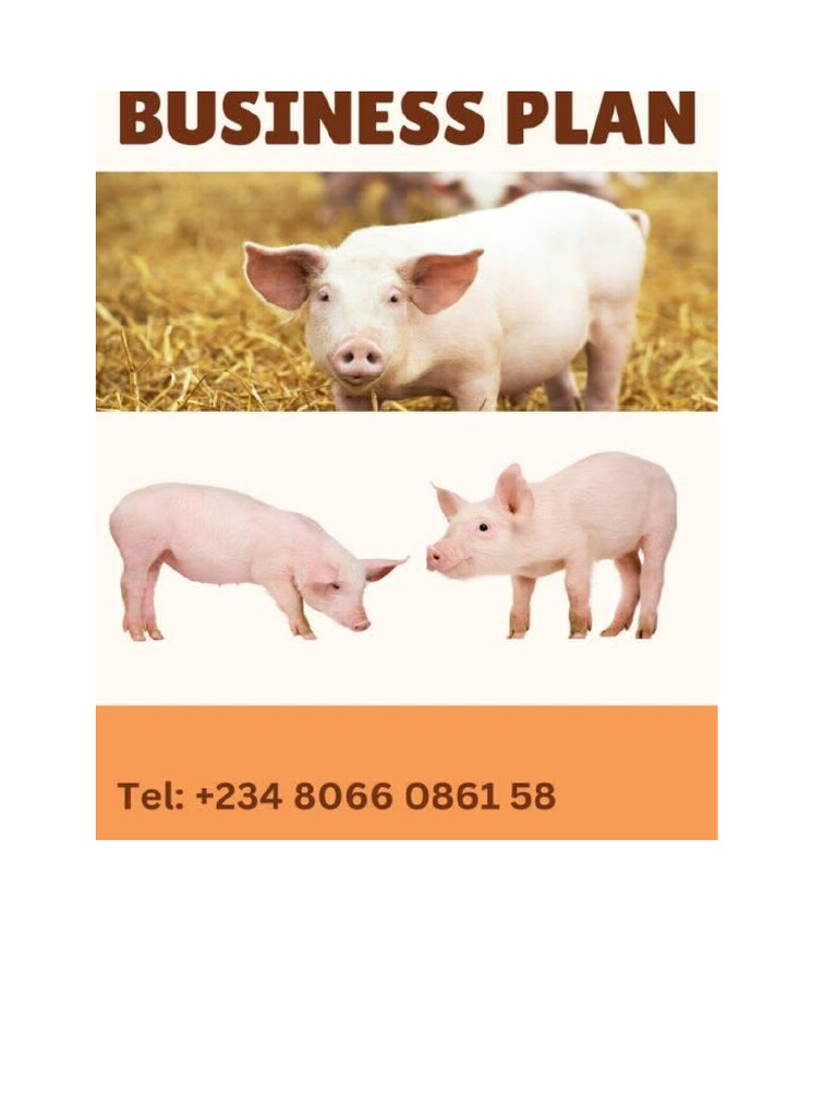 Funso Kolade Piggery Business Plan | PDF | Pig | Agriculture