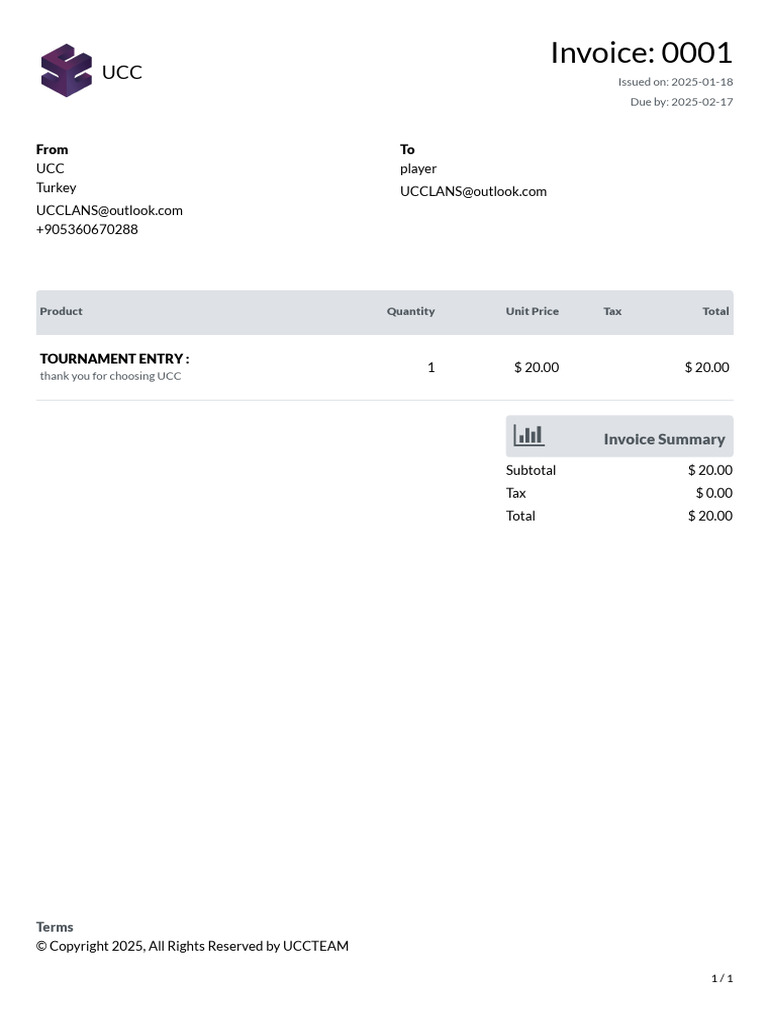 Invoice 0001 Pdf