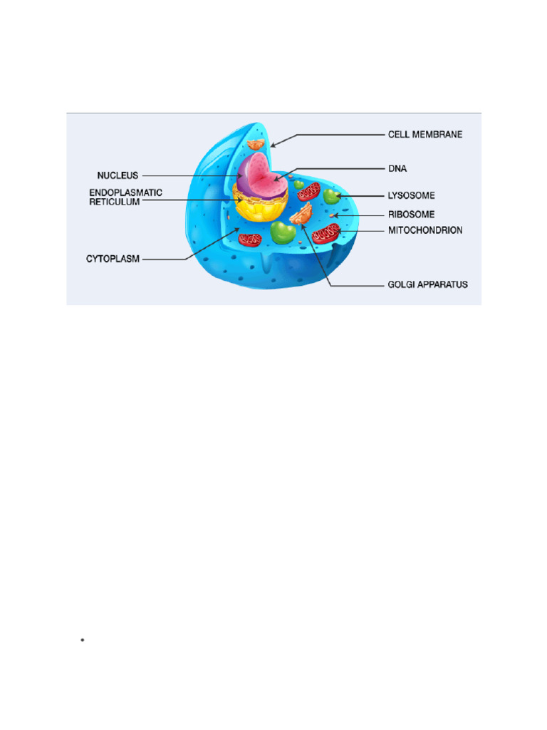 Cell and Its Environment | PDF | Cell (Biology) | Cytoplasm