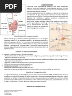 Reflejos Digestivos: Gastroileal e Ileocólico | PDF