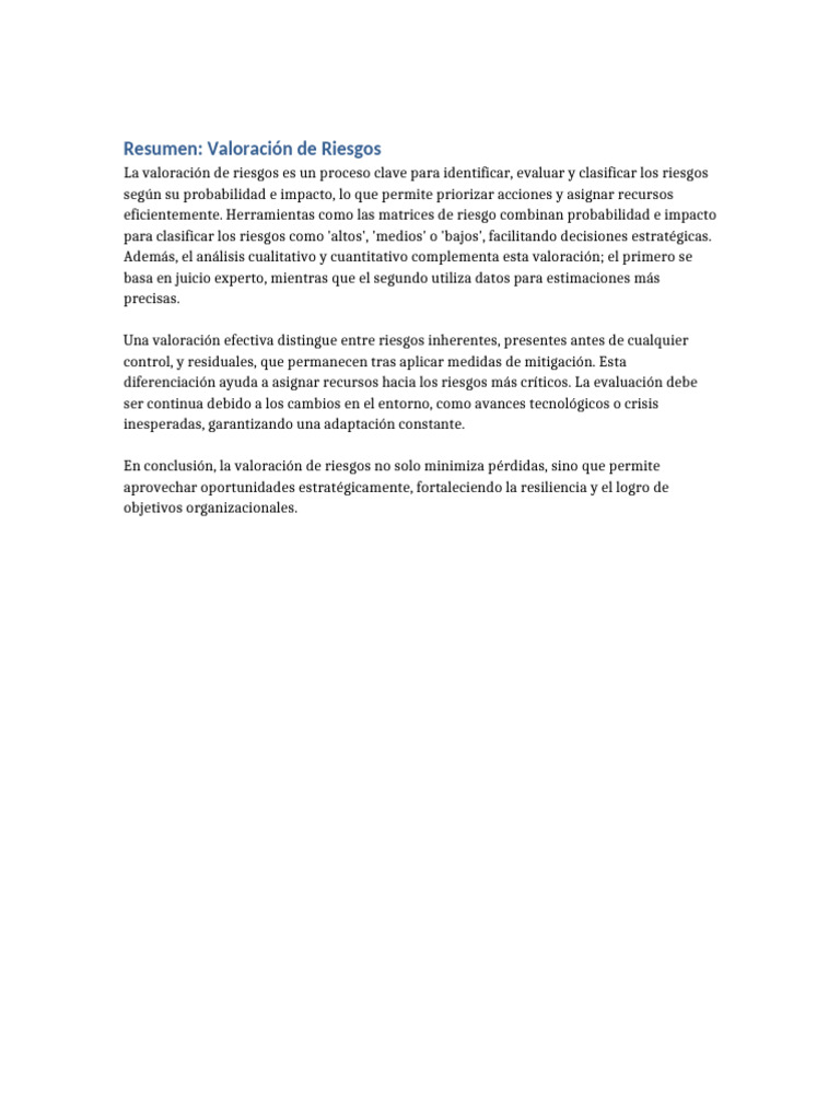 Resumen Valoracion de Riesgos | PDF
