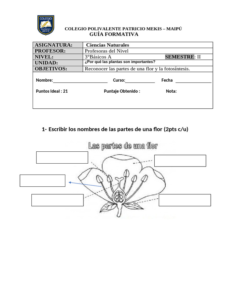 Guía Formativa 3°A | PDF