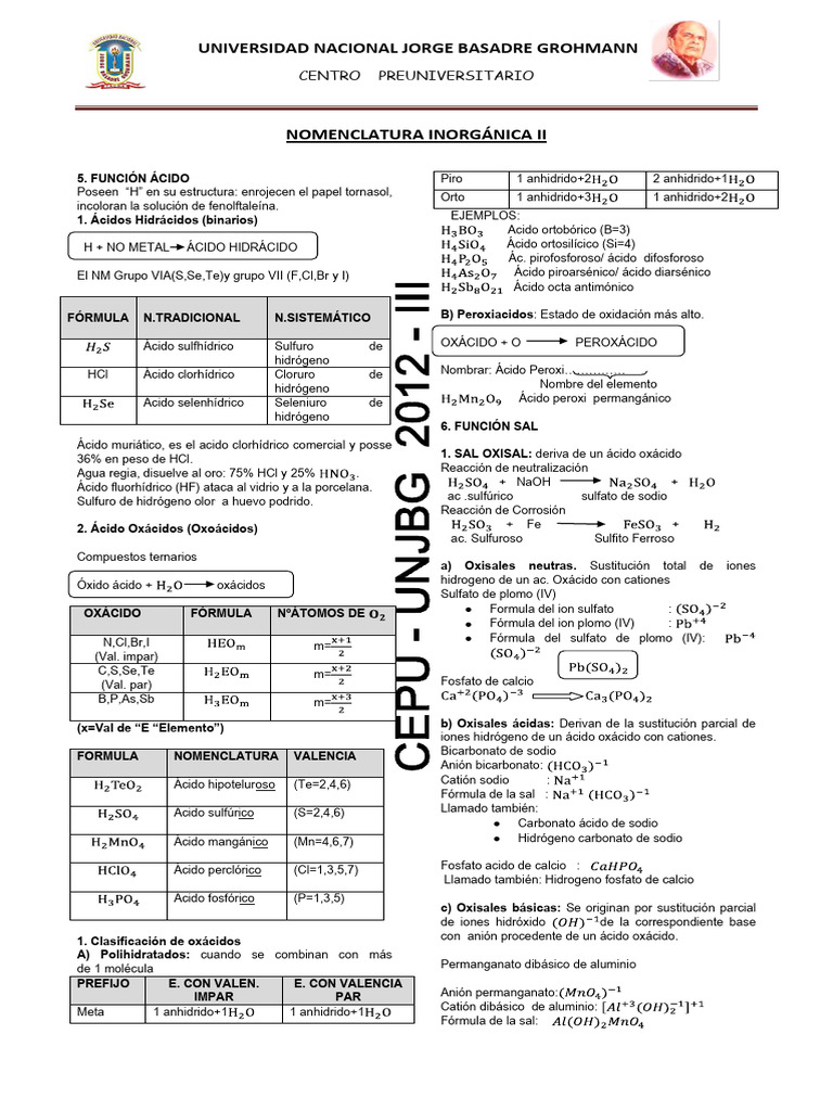 Nomenclatura de Ácidos y Sales Inorgánicos | PDF | Ácido | Sal (química)