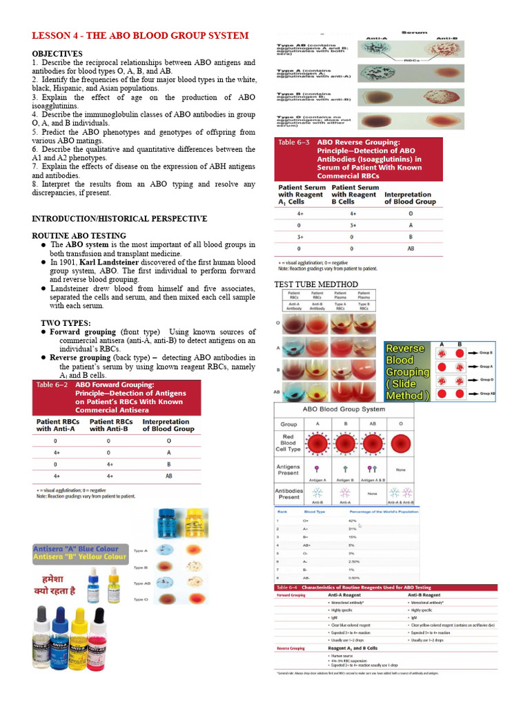 Understanding the ABO Blood Group System | PDF | Blood Type | Immunology
