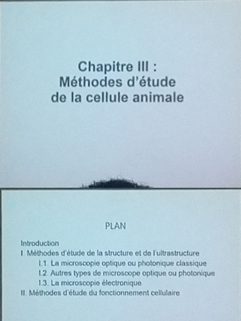 Méthode D'étude de La Cellule | PDF