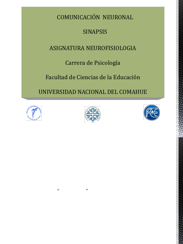 Biologia Neuronal - Neurotransmisión Neurofisio 2025 | PDF | Sinapsis | Sinapsis química