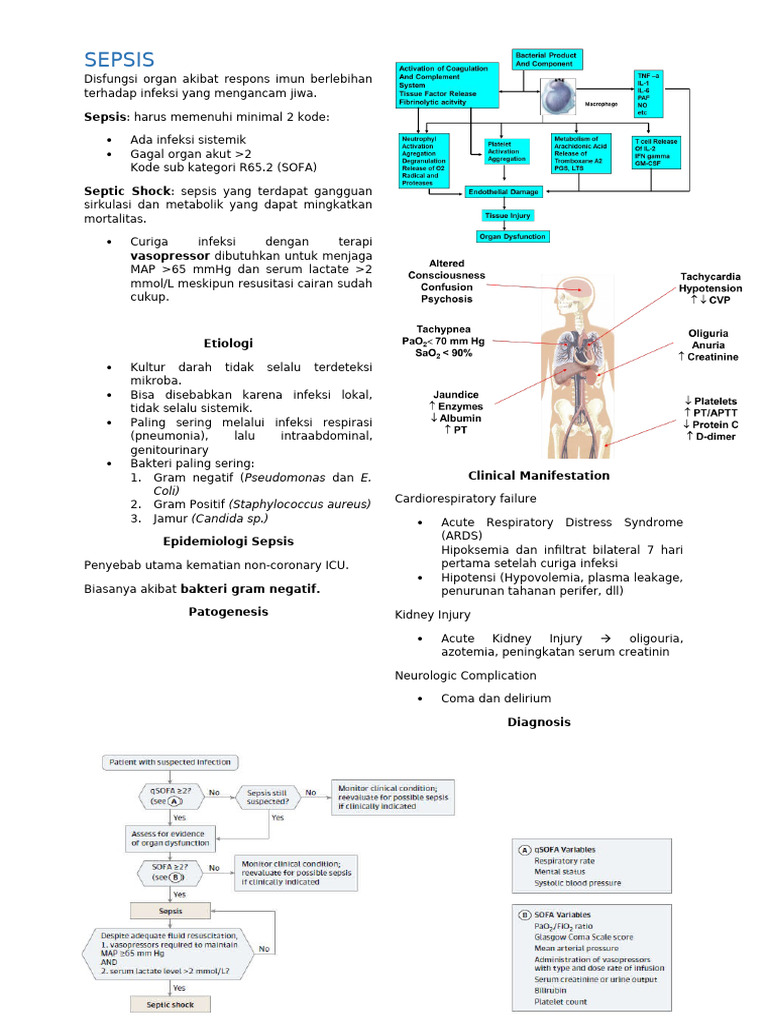 Sepsis | PDF
