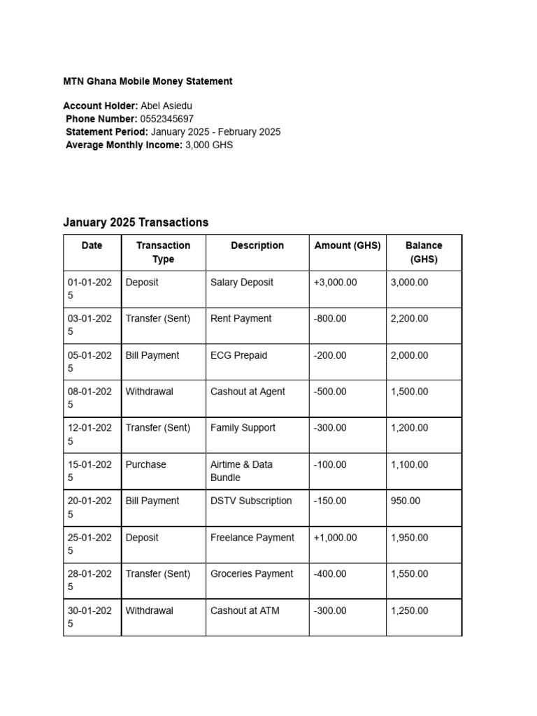 MTN Mobile Money Statement Summary | PDF