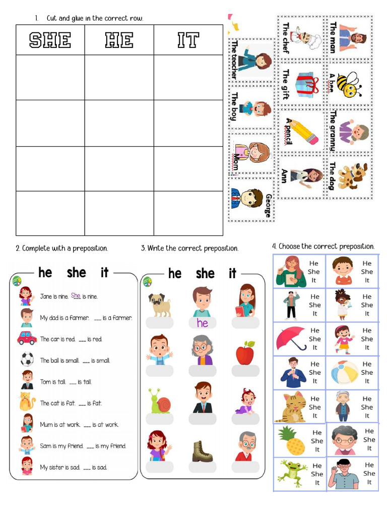 Gender Pronouns Explained | PDF