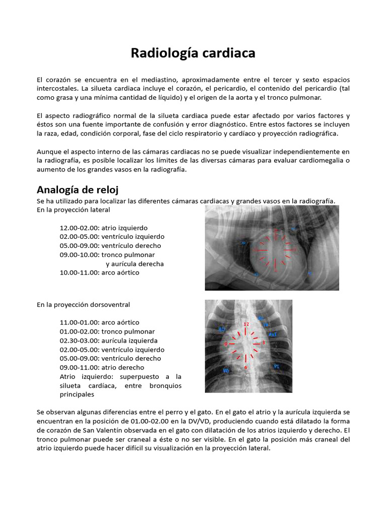 Microcardia en Perros: Radiología Cardiaca | PDF | Corazón ...