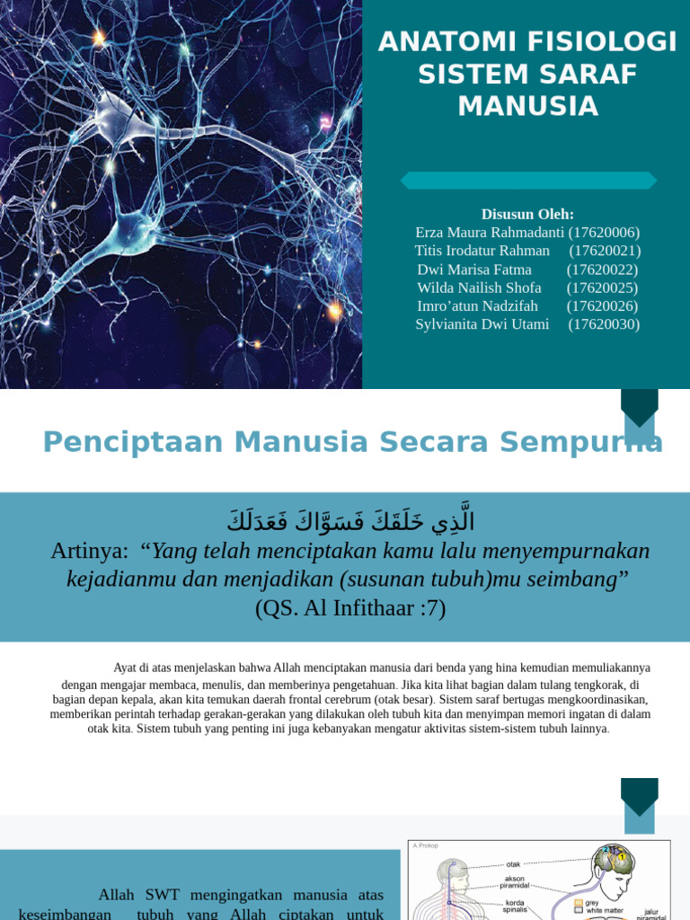 Struktur dan Fungsi Sistem Saraf Manusia | PDF