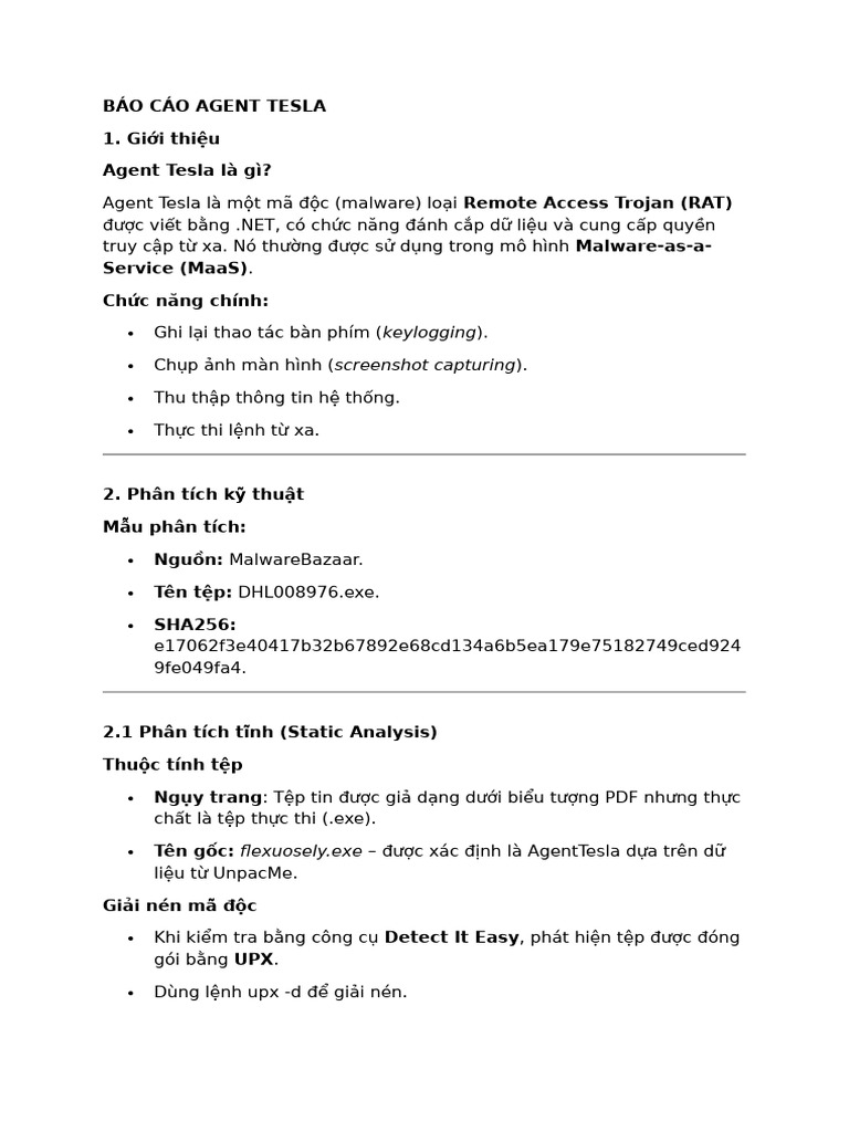 Báo Cáo Agent Tesla | PDF