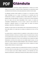 Tipos de senos y sus características | PDF | Pecho | Ginecología