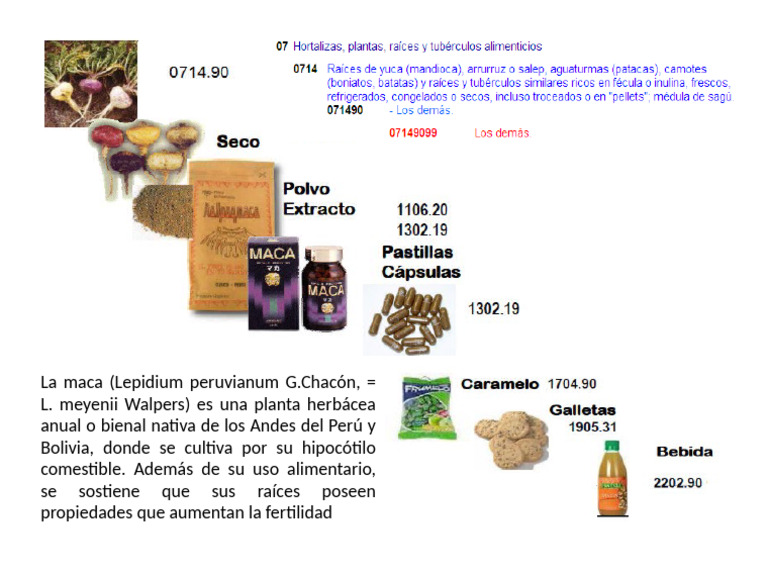 av_u2_act_11_ejemplo (1) | PDF