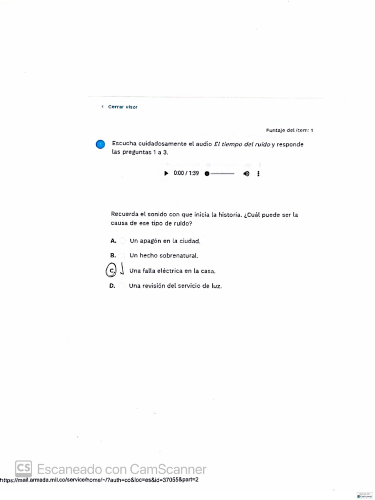 Actividad Lenguaje Cami | PDF