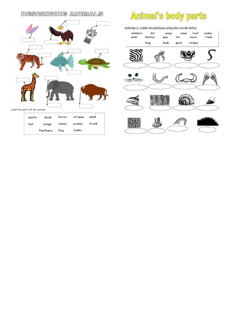Part of Animals Body | PDF