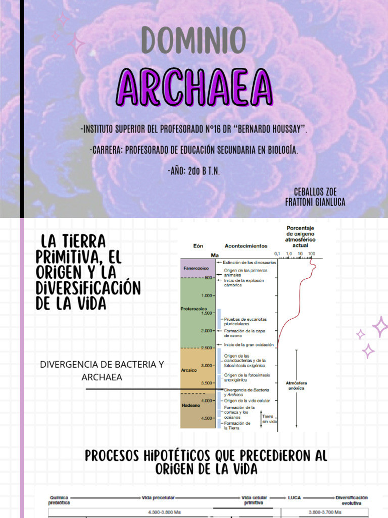 ARCHEA | PDF | Archaea | Biología Celular)