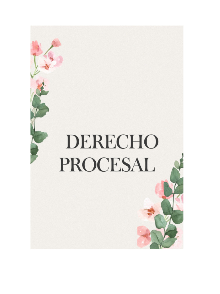 Prepar A To Rio Proce Sal 2025 | PDF | Reunión | Apelación