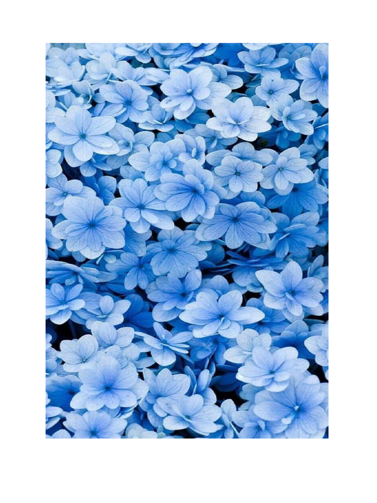 Blue | PDF