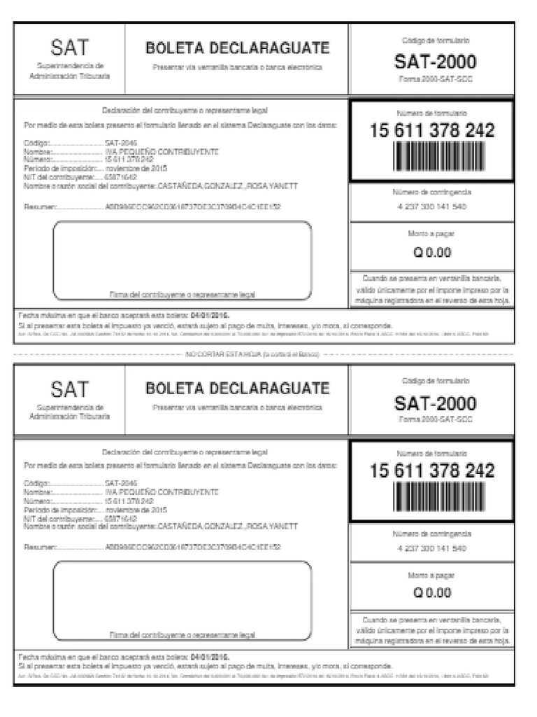 Boleta Declaraguate Protocolo | PDF