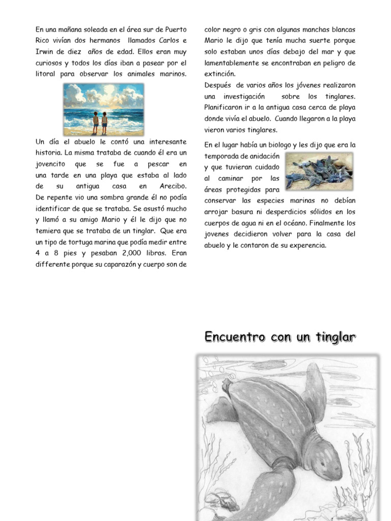Hermanos y Tinglares en Puerto Rico | PDF