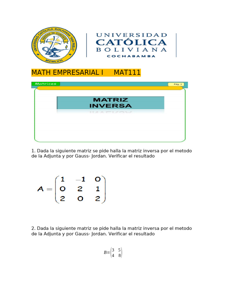 Practico Matriz Inversa | PDF