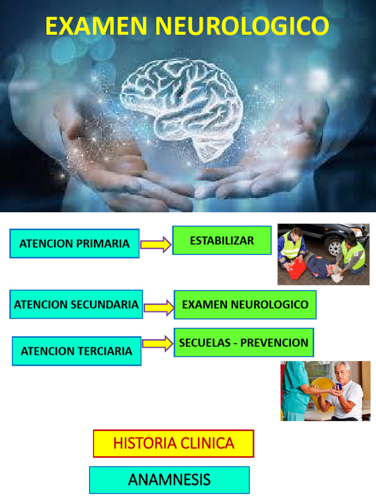 Ex. - Neuro - 1 | PDF | Afasia | Neurología