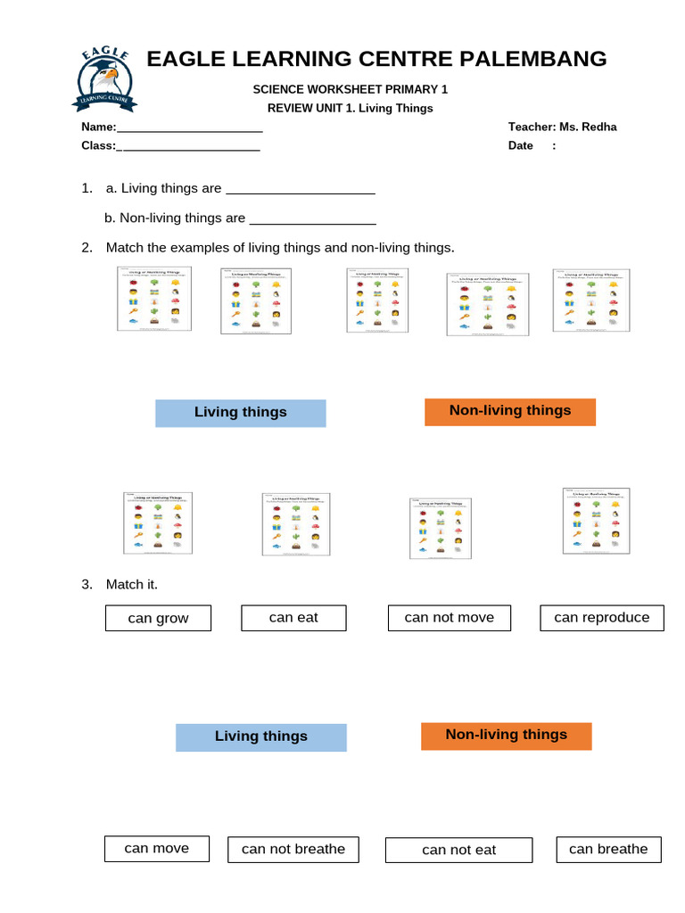 WS 7. Review Unit 1. Living Things | PDF