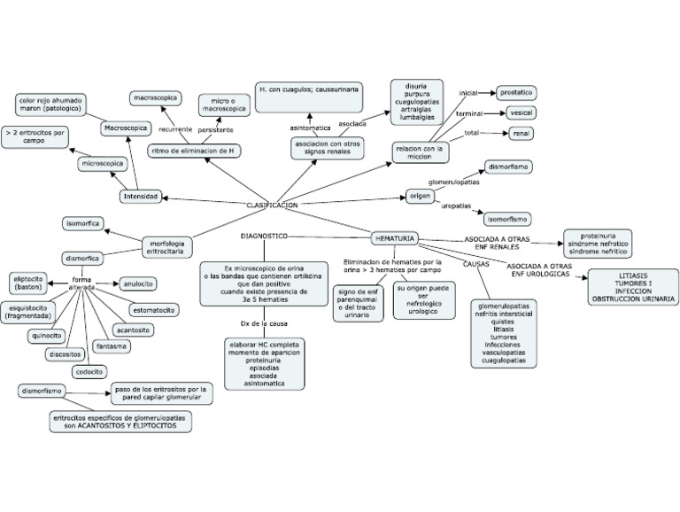 Hematuria Cmap | PDF